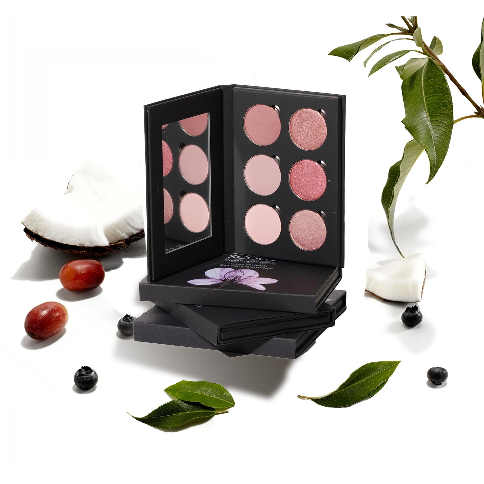 Day & Night Eye Shadow Palette | Organic Eyeshadow Palette - SCOUT ...