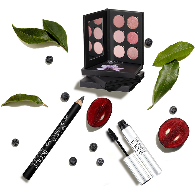 Mascara, Eyeliner & Eye Shadow Pallet Kit